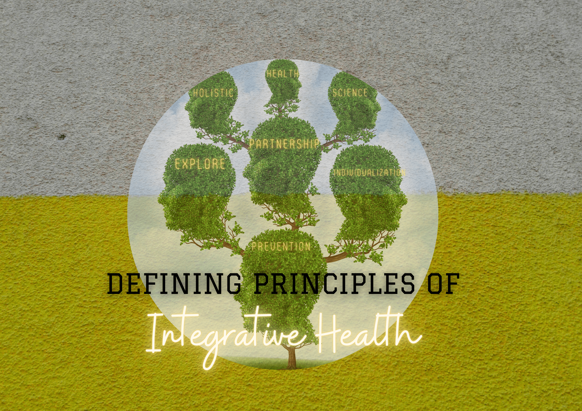 Defining Principles of Integrative Health